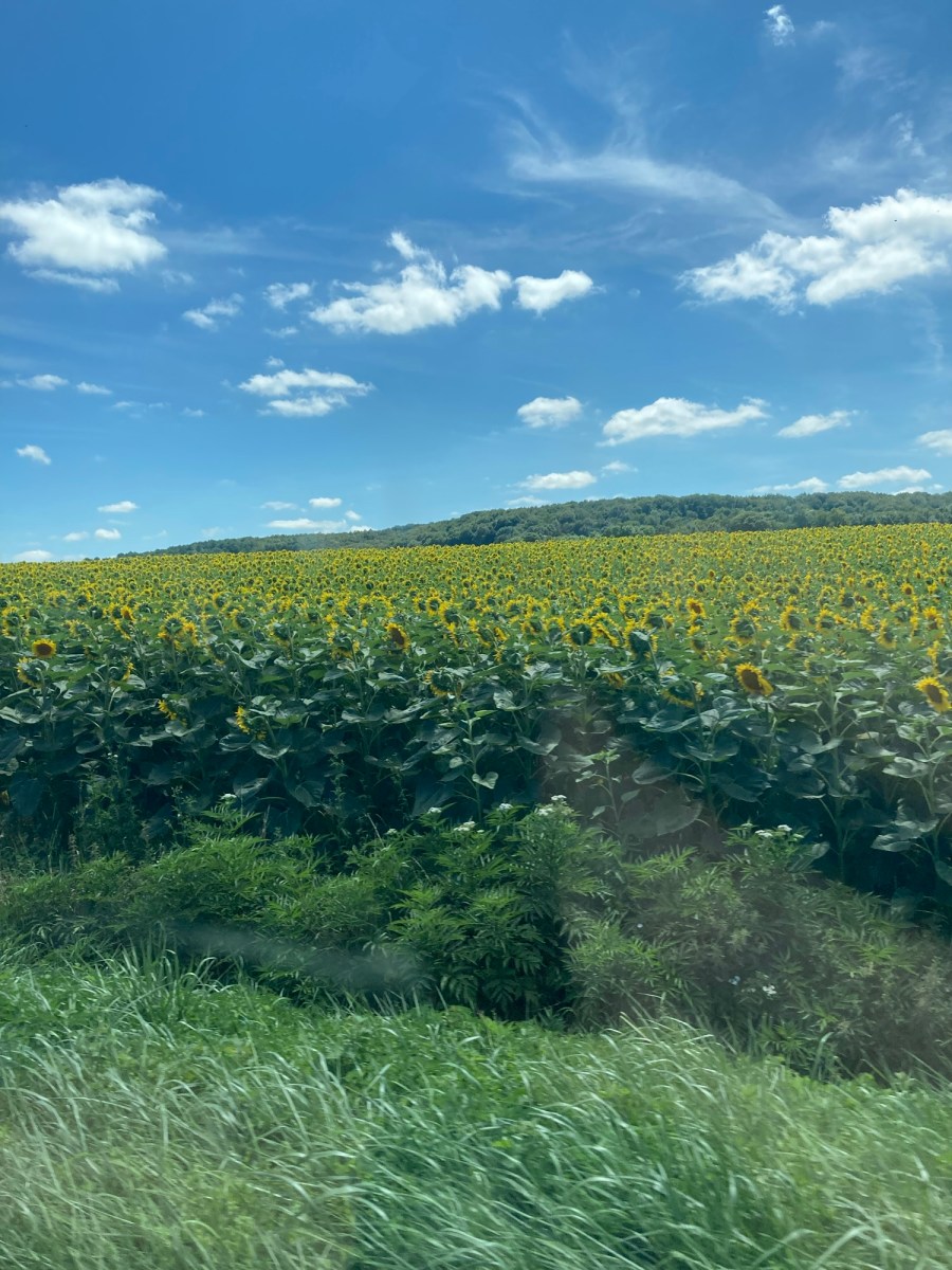 Celebrating life to balance out the death talk – Richard Axtell – Writer